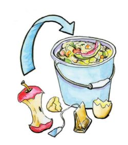 Back to the Garden: Repurposing Food Waste - Edible Dallas and Fort Worth
