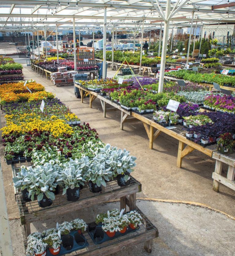 Kim Pierce, Author at Edible Dallas and Fort Worth