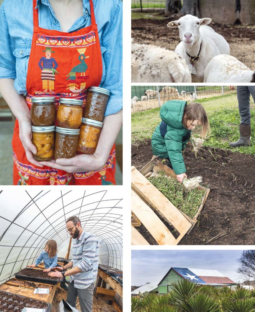 Jubilee Farm: A Place in the Sun - Edible Dallas and Fort Worth