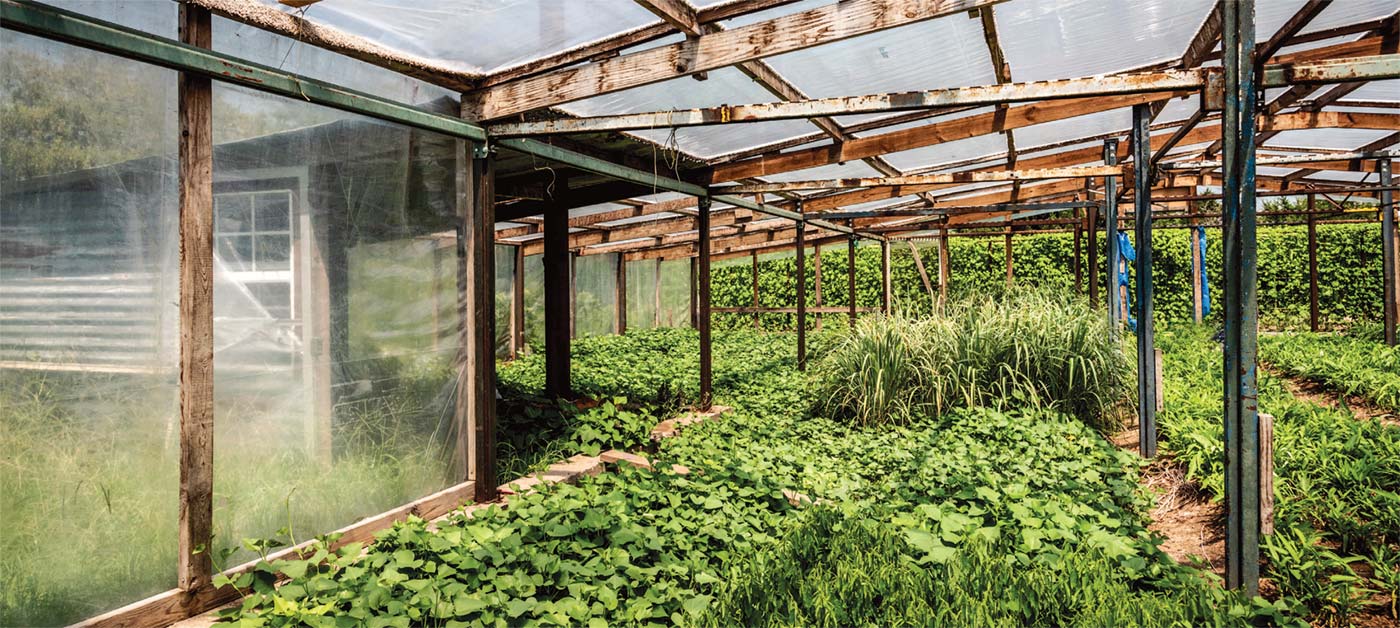 A Growing, Farming Family - Edible Dallas and Fort Worth