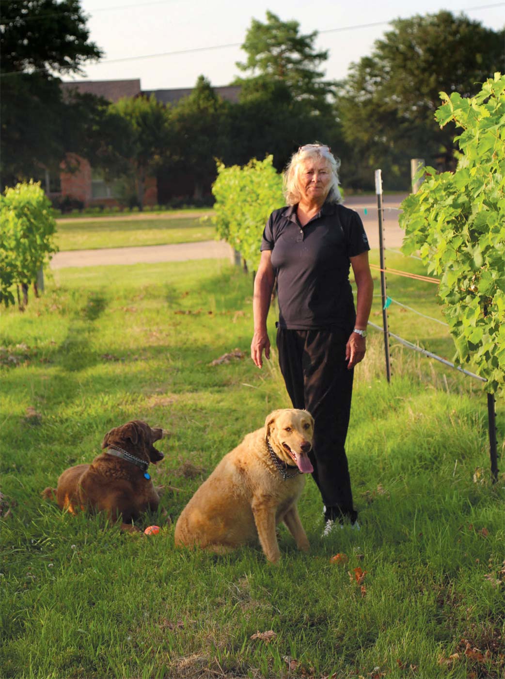 Dreams and Flying Machines - Edible Dallas and Fort Worth