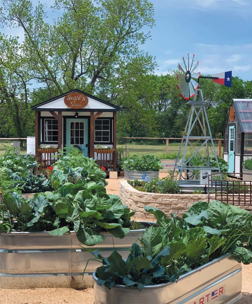 Miss Fran's Teaching Garden Tool Elementary School - Edible Dallas and ...