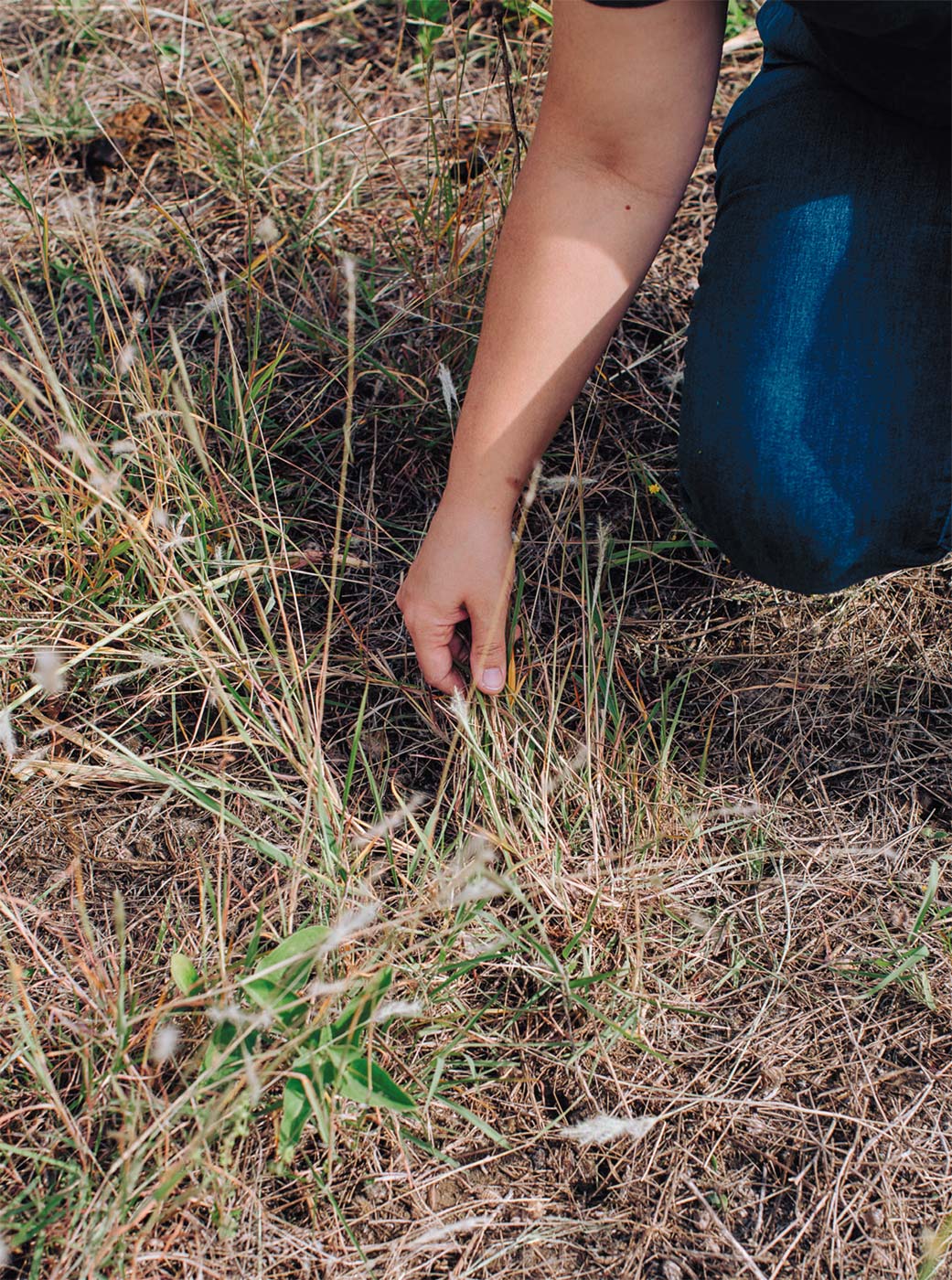 Prairie Farmstead: Rooted in History - Edible Dallas and Fort Worth