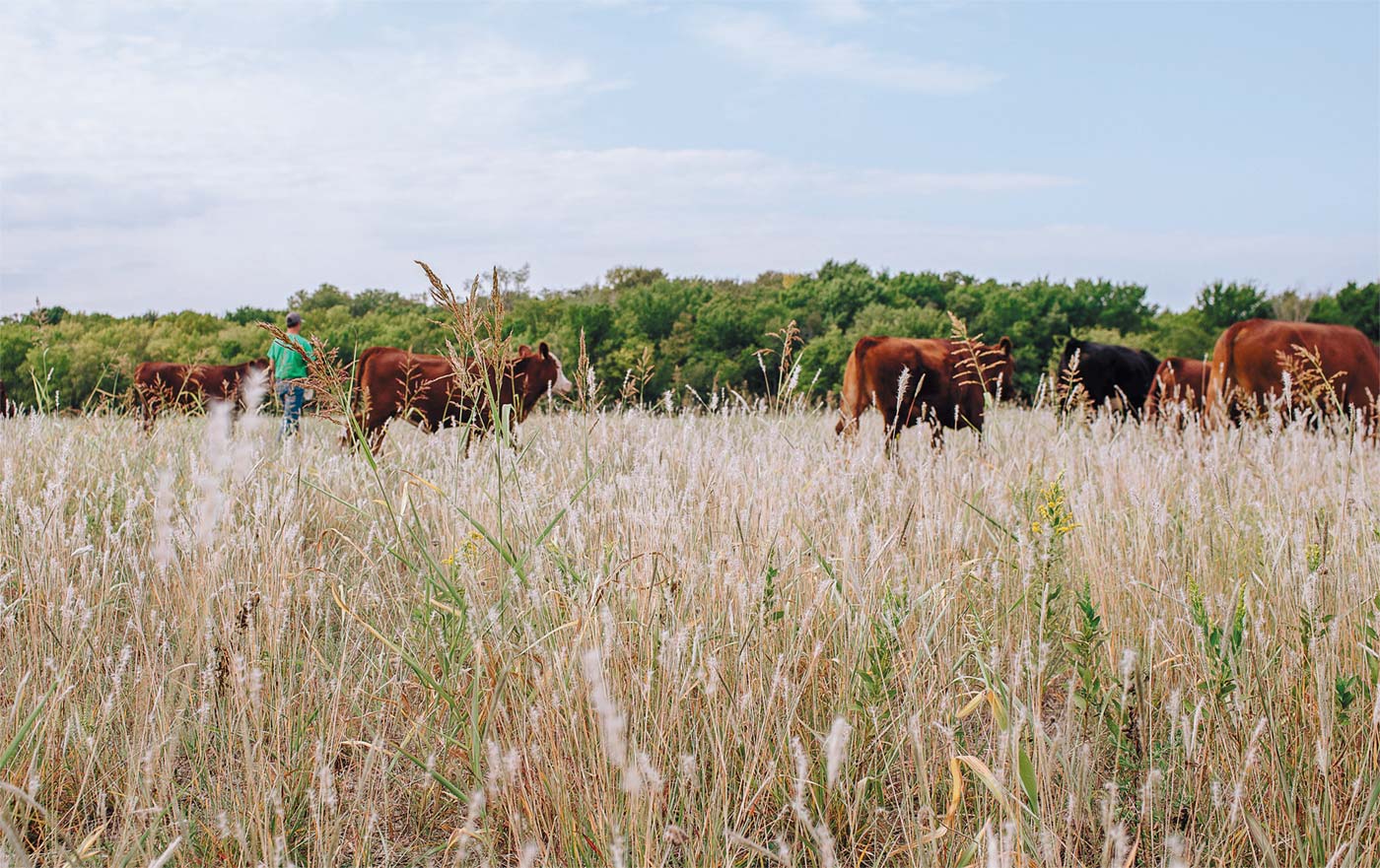Edible Dallas and Fort Worth Magazine - Edible Dallas and Fort Worth