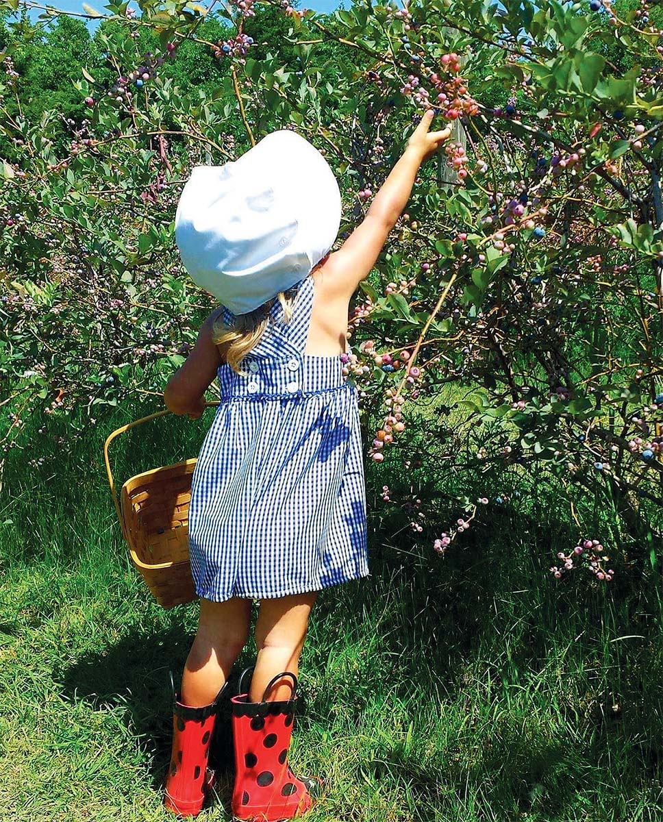 Pick Your Own: Harvesting Fun! - Edible Dallas and Fort Worth