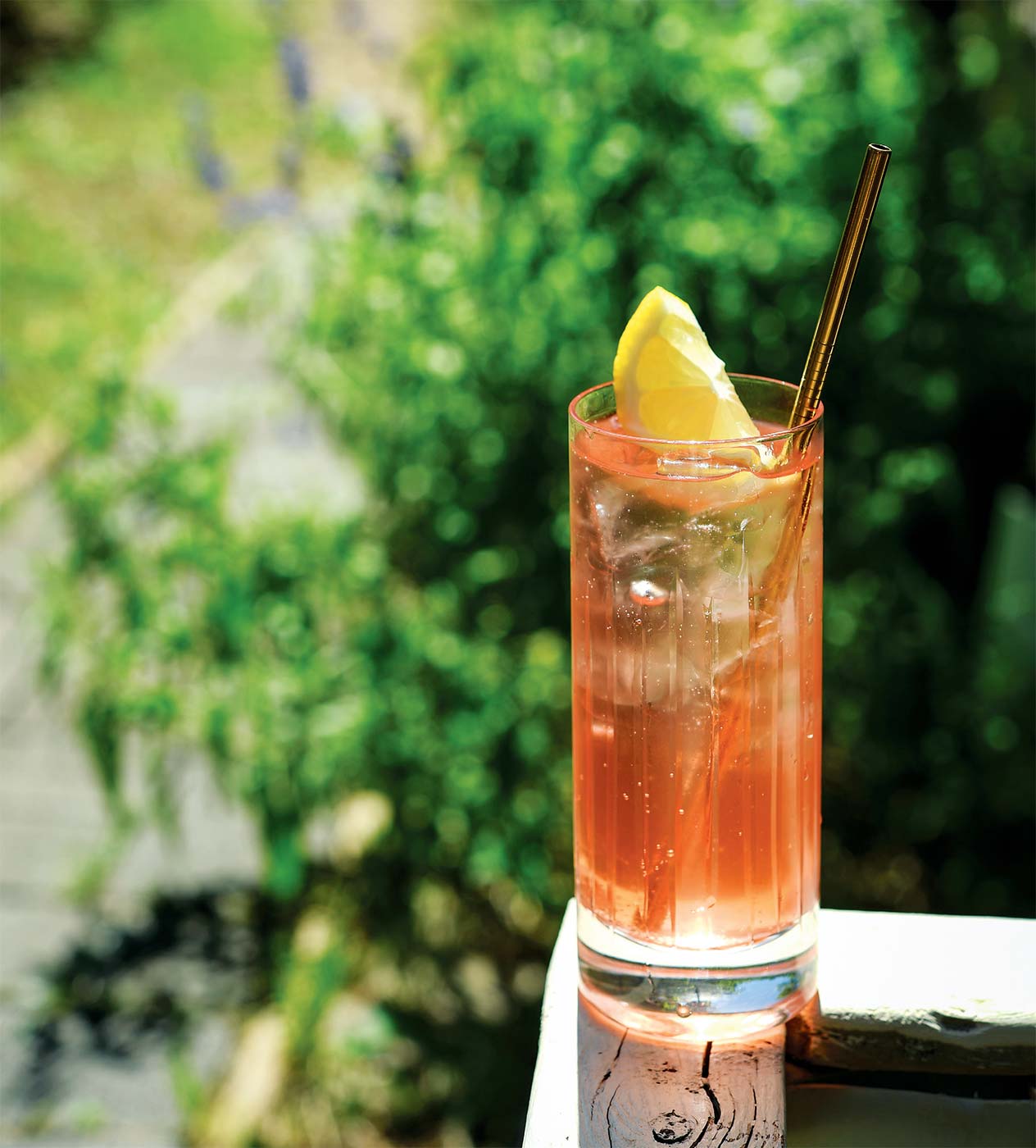 Edible Dallas and Fort Worth Magazine - Edible Dallas and Fort Worth