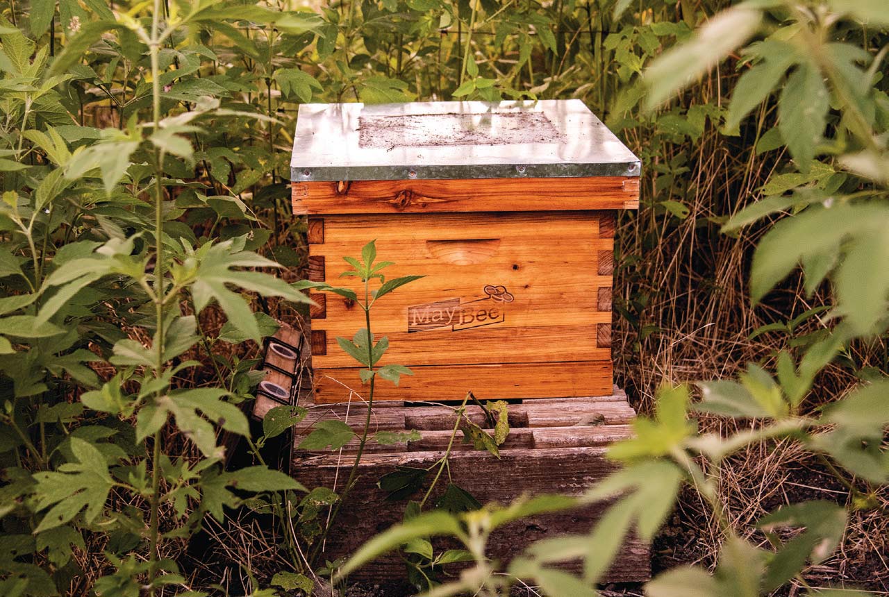 Living the Dream - Edible Dallas and Fort Worth