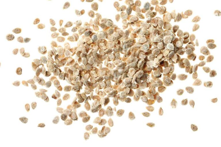 Edible Dallas and Fort Worth Magazine - Edible Dallas and Fort Worth