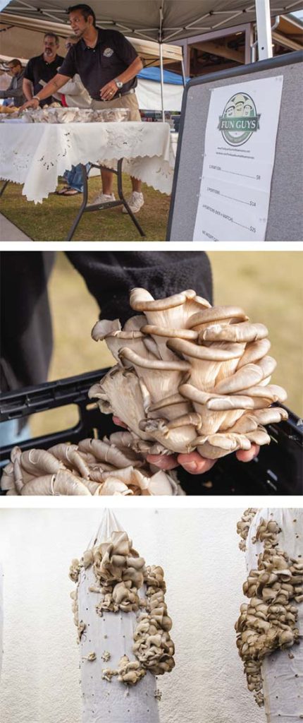 JUST TWO FUN GUYS WHO GROW FUNGI - Edible Dallas and Fort Worth